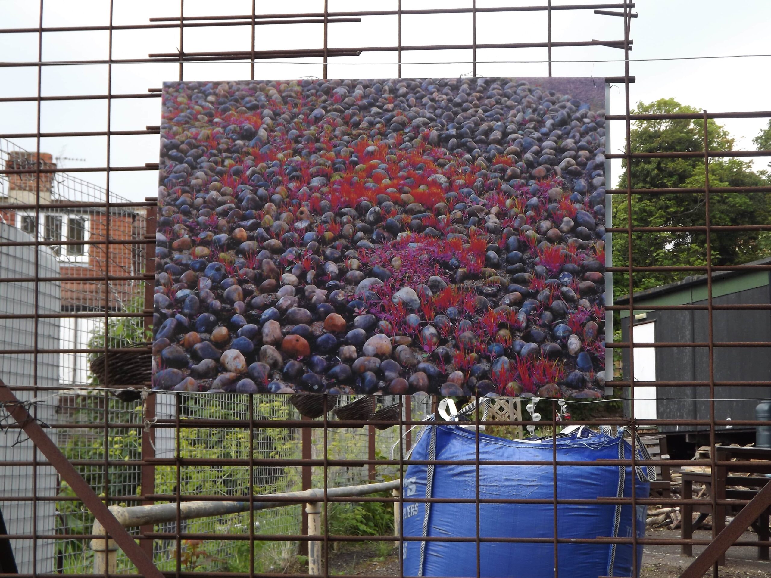 Projects - The Shed Urban Wilderness